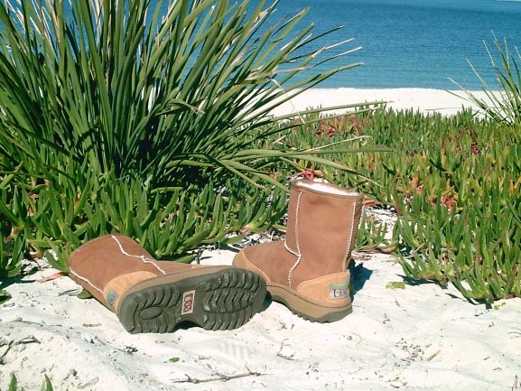 SCRUB UGG boots and slippers – Mandic Shoes